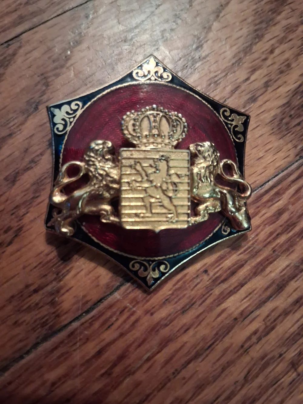 The Unbranded Brand | Jewelry | Vintage Red And Gold Tone Lion Coat Of ...
